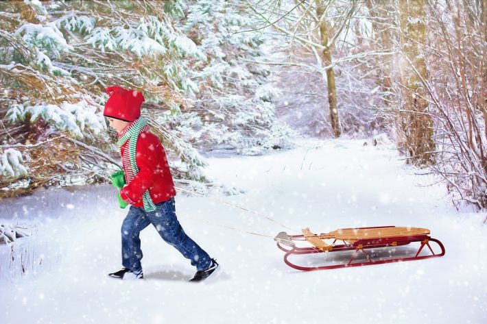 Slittino neve per adulti e bambini: plastica, legno o metallo? 1 o 2 posti?